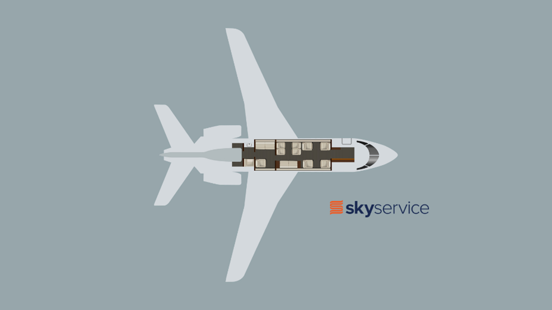 Dassault Falcon 900DX - Skyservice
